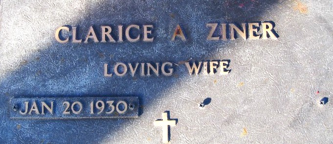 AWAITING CLARICE? – I like to write junk…